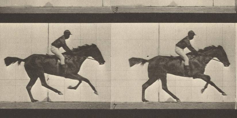 Nope: Opening Scene and Every Title Card Explained