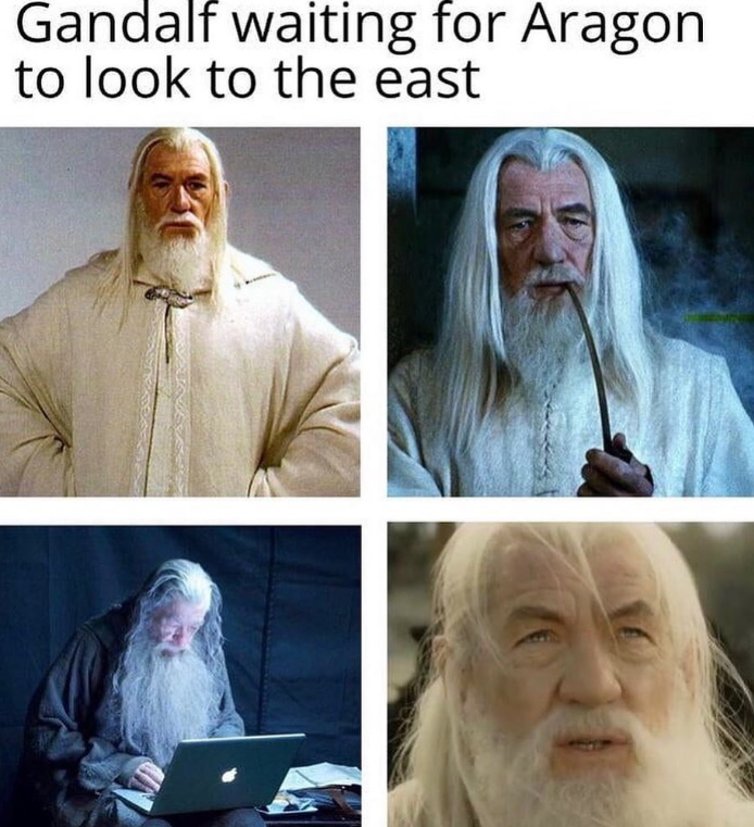 Lord Of The Rings: 10 Memes That Perfectly Sum Up Gandalf As A Character