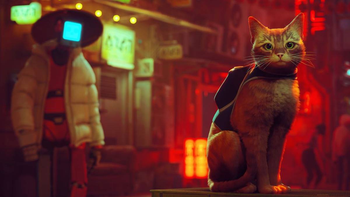 Stray: What Happened To All The Humans?