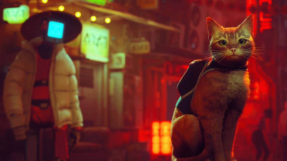 Does The Cat Die In Stray?