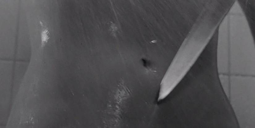 Psycho: How The Shower Scene Was Filmed