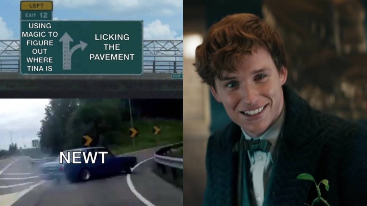 Fantastic Beasts: 10 Memes That Perfectly Sum Up Newt As A Character
