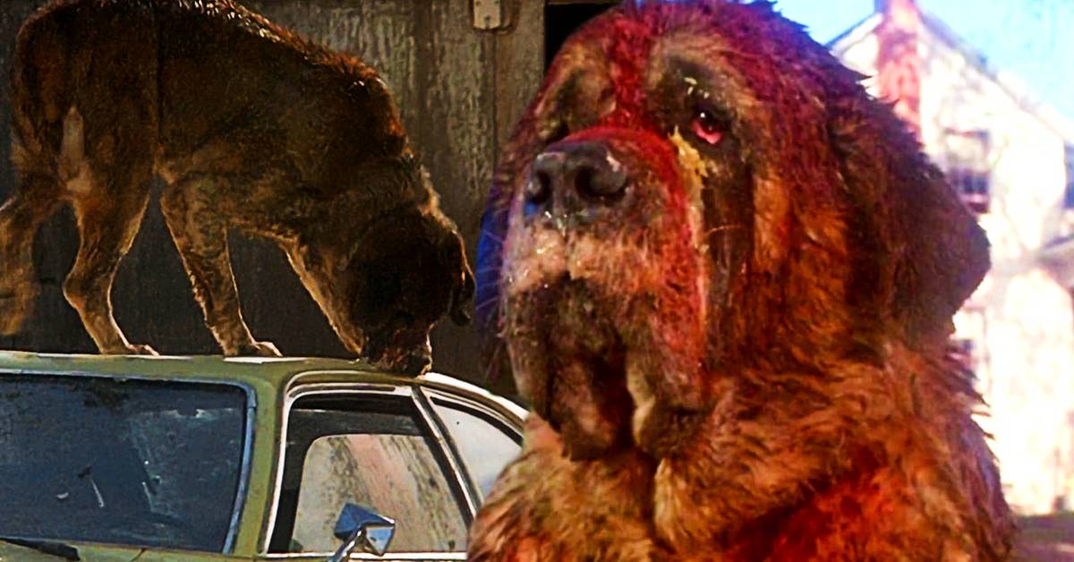 Cujo 2 Movie Cujo | 2 Guys And A Chainsaw