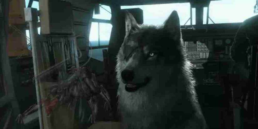 10 Best Dogs In Video Games, Ranked