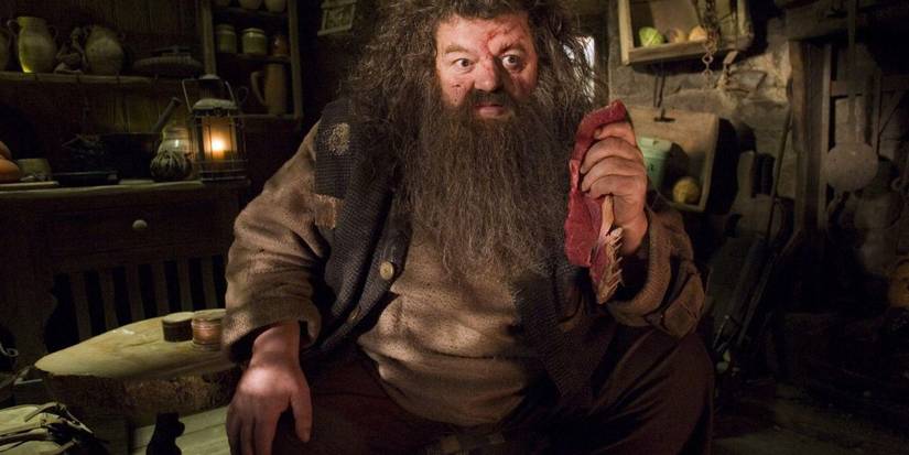 Harry Potter: Harry's Most Loyal Friends, Ranked