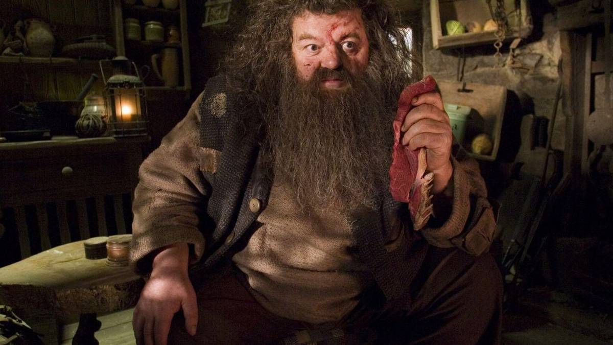 Robbie Coltrane, Harry Potter's Hagrid Actor, Dies At 72