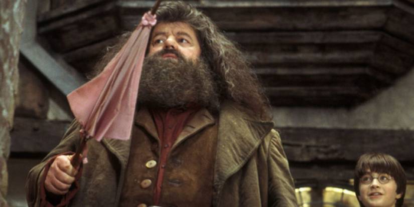 Why Hagrid's Wand Still Worked After It Was Broken In Harry Potter