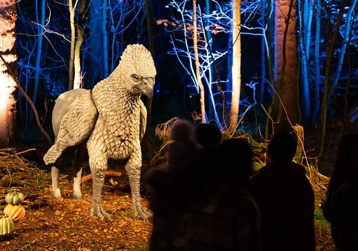 Harry Potter Interactive Experience Brings Forbidden Forest To Life