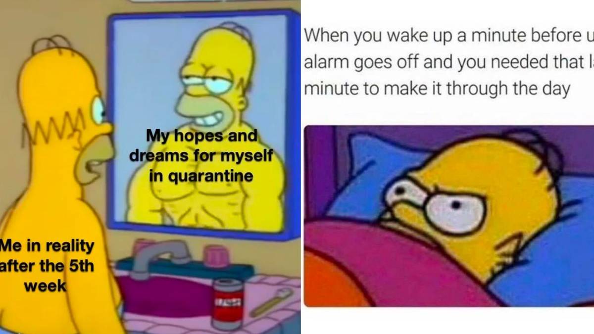 The Simpsons: 10 Memes That Perfectly Sum Up Homer As A Character