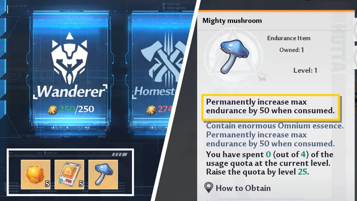 How To Increase Max Stamina and Endurance in Tower of Fantasy