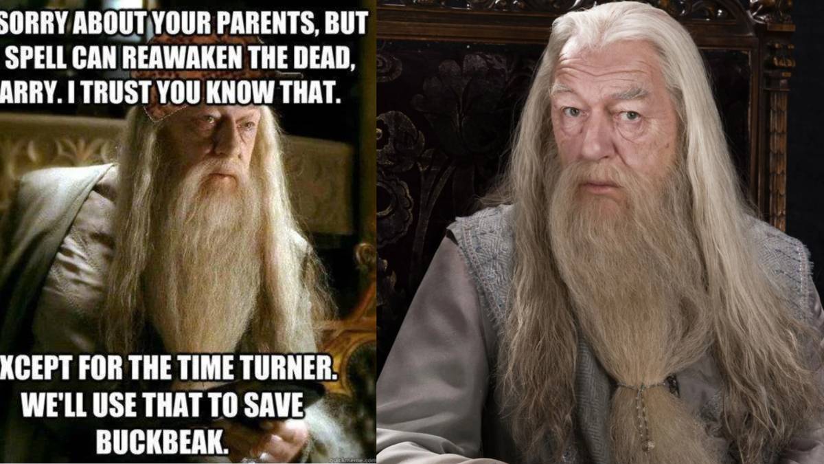 Harry Potter: 10 Memes That Prove Dumbledore Was A Villain