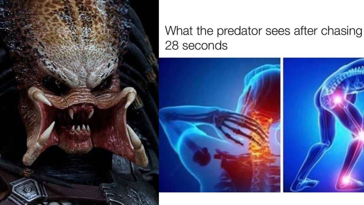 10 Memes That Perfectly Sum Up Predator As A Character