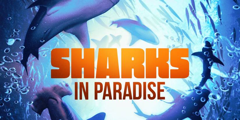 10 Discovery+ Documentaries To Watch If You Love Shark Week