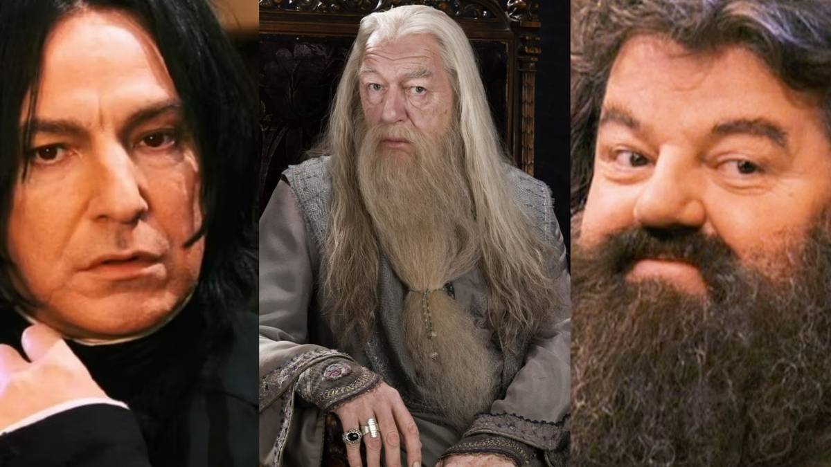 Harry Potter: 10 Best "Roast" Quotes From The Main Characters