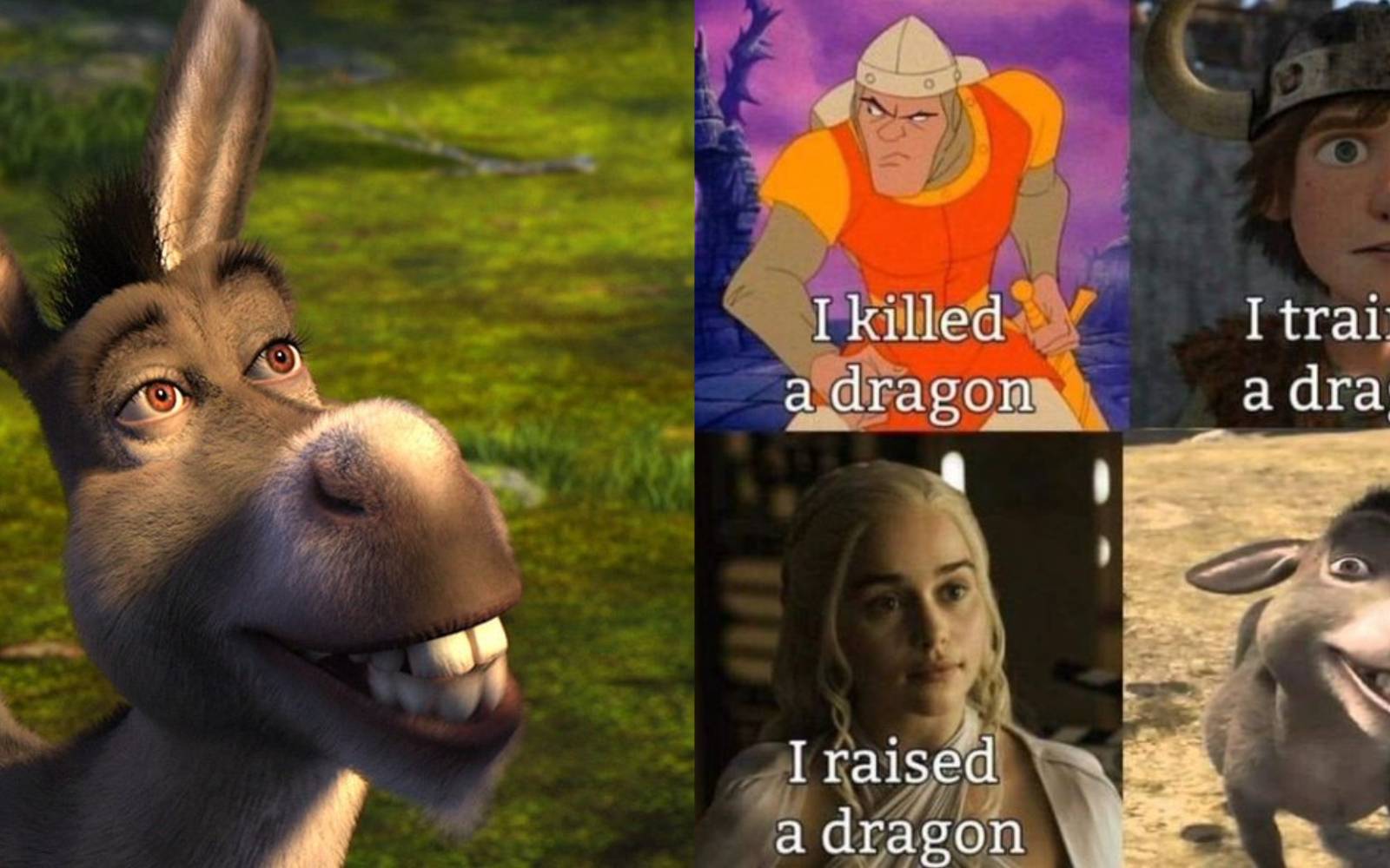 Donkey Shrek Know Your Meme