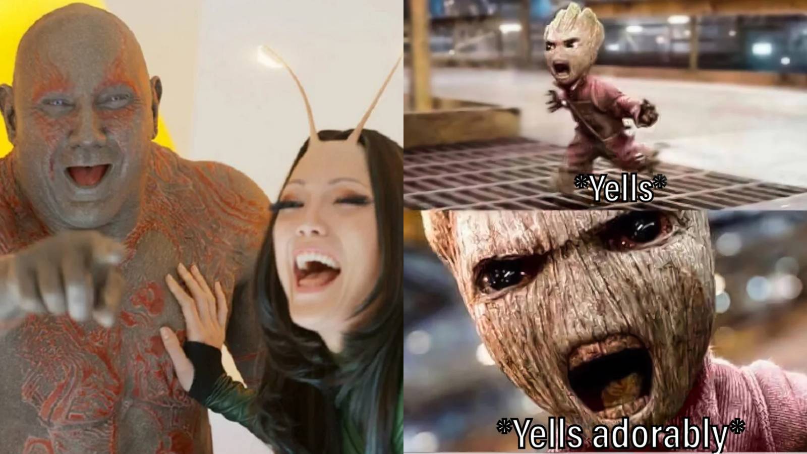 Guardians Of The Galaxy: 12 Most Hilarious Groot Memes