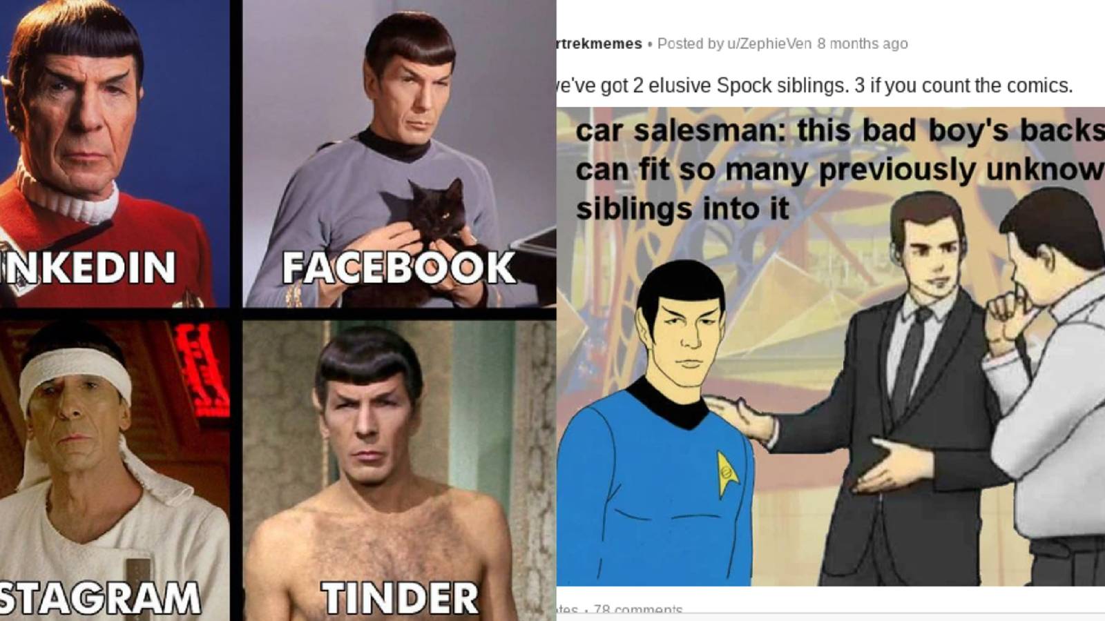 Star Trek: 10 Memes That Perfectly Sum Up Spock
