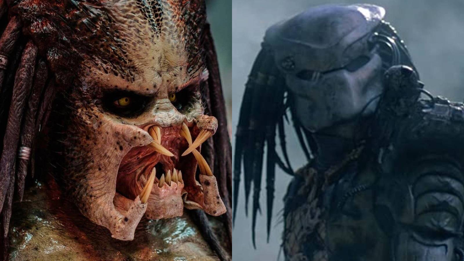 20 Things That Make No Sense About The Predator