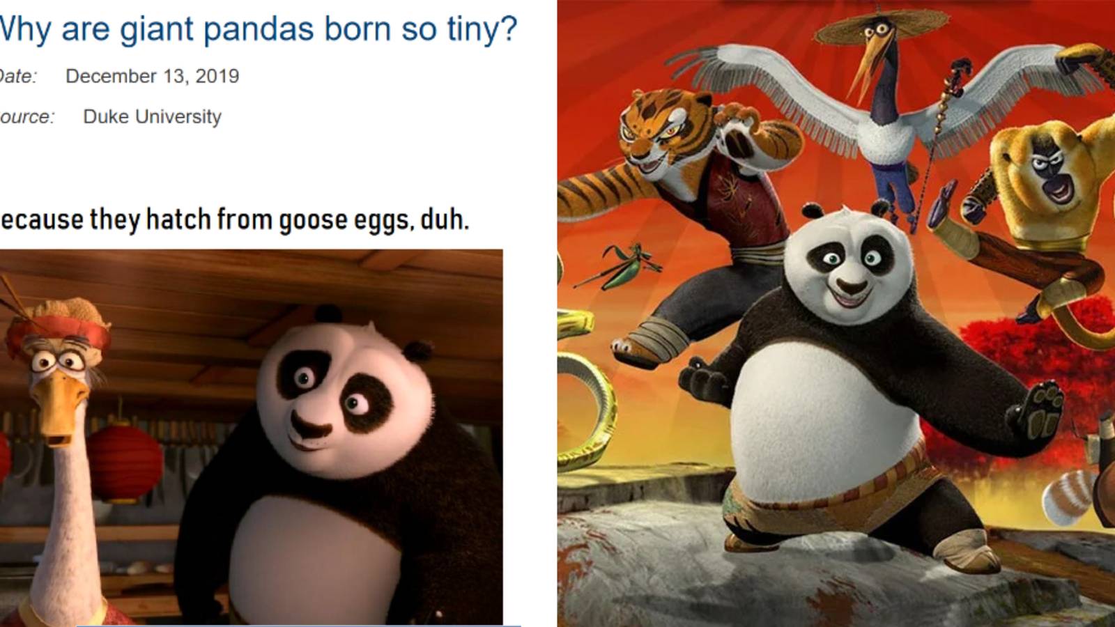 Sint Panda Meme Panda Meme Sticker Pack Stickers Cloud