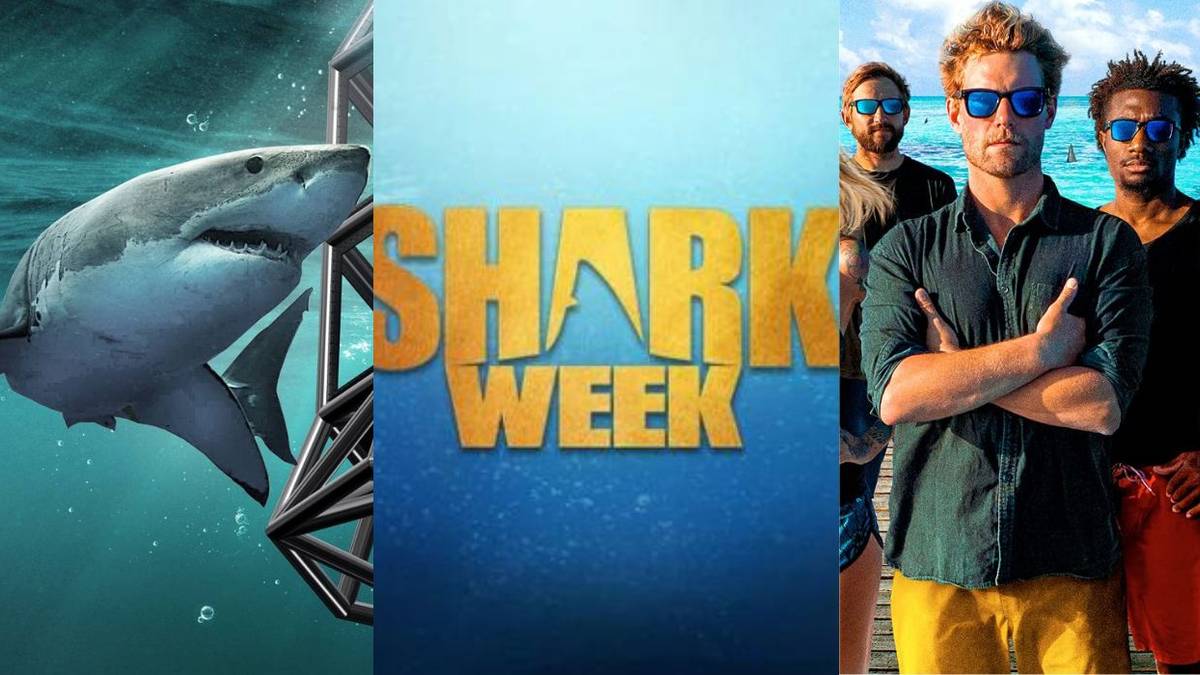 10 Discovery+ Documentaries To Watch If You Love Shark Week