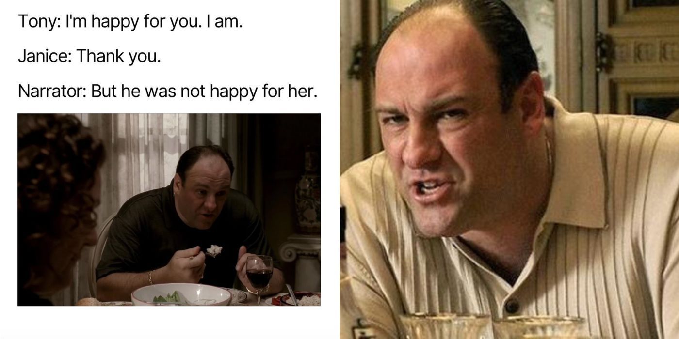 The Sopranos: 10 Memes That Perfectly Sum Up Tony As A Character