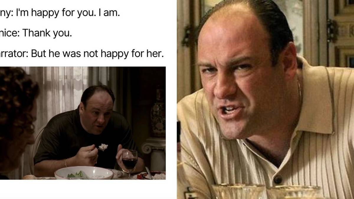 The Sopranos: 10 Memes That Perfectly Sum Up Tony As A Character