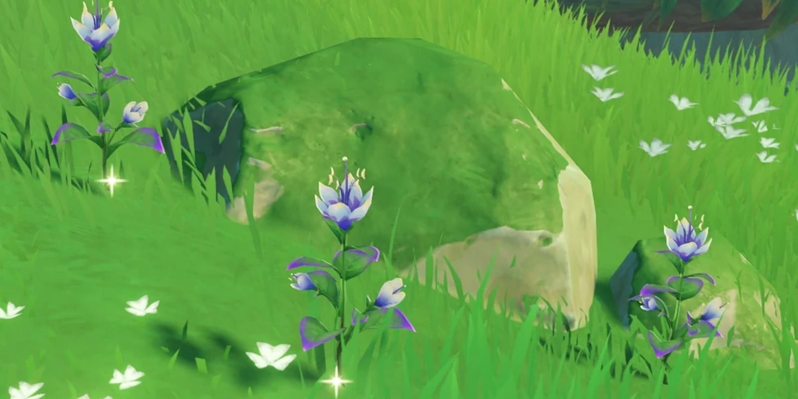 Where to Find (& Get) Padisarah in Genshin Impact