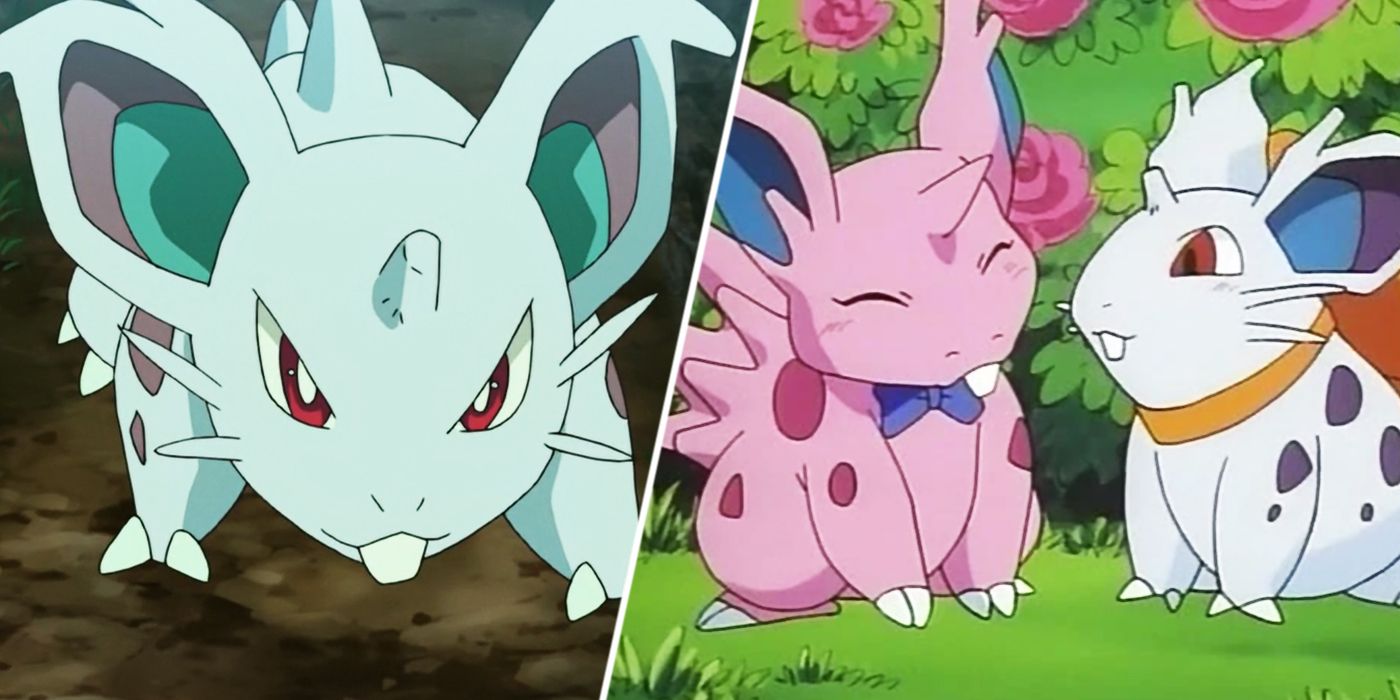 Nidoran Male Evolution Pokemon Teams Pokemon My Pokemon