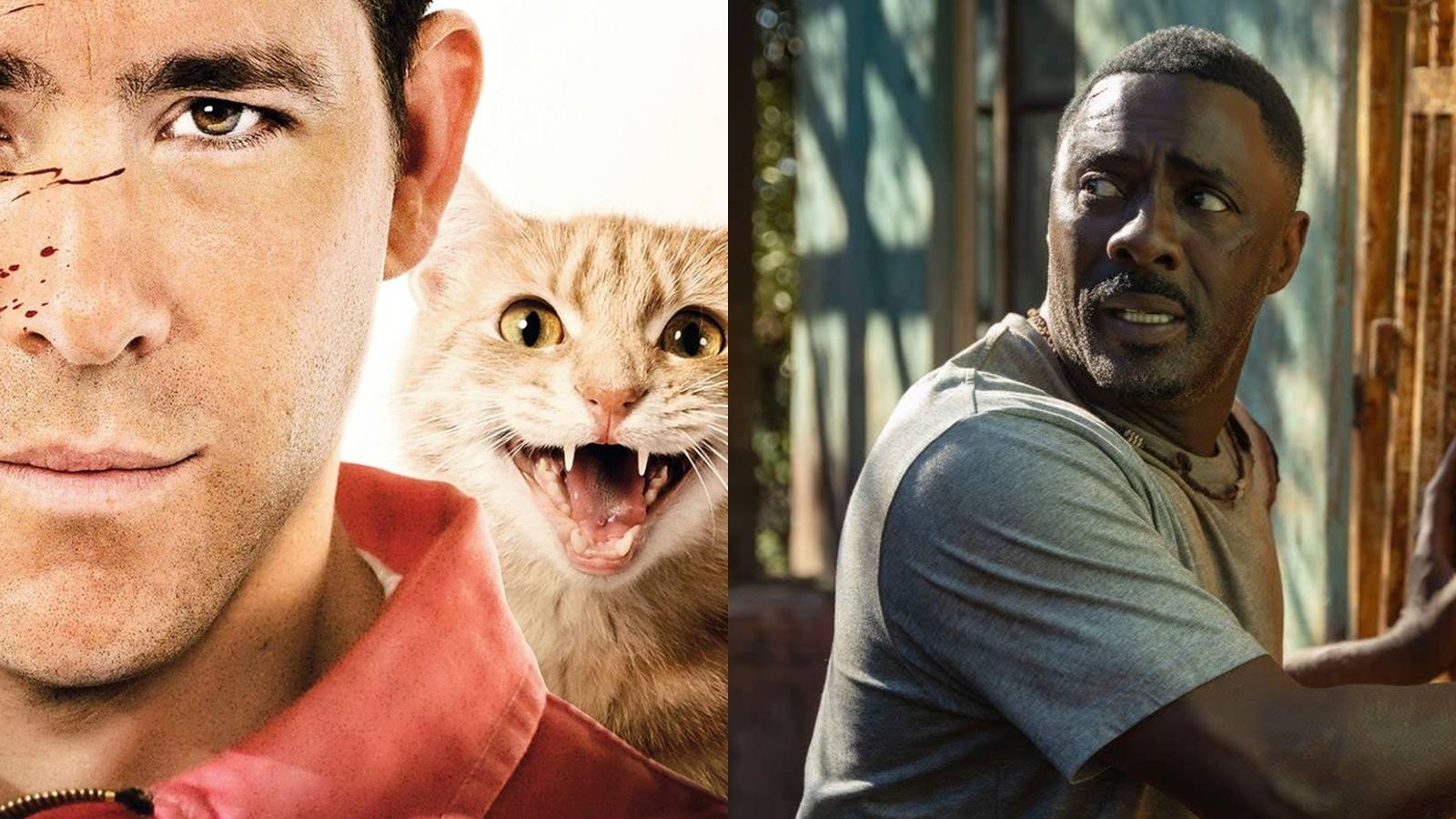 Beast: 10 Best Feline Horror Films, According To IMDb