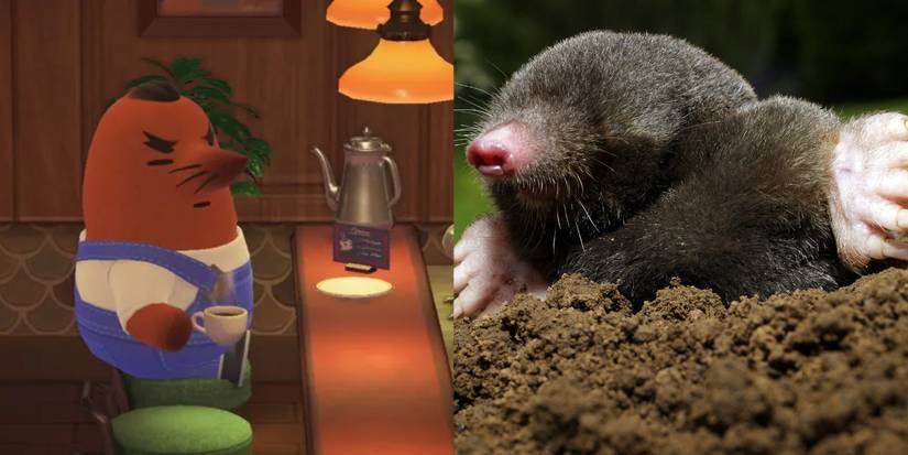 10 Iconic Video Game Characters, Ranked In Comparison To Their IRL ...