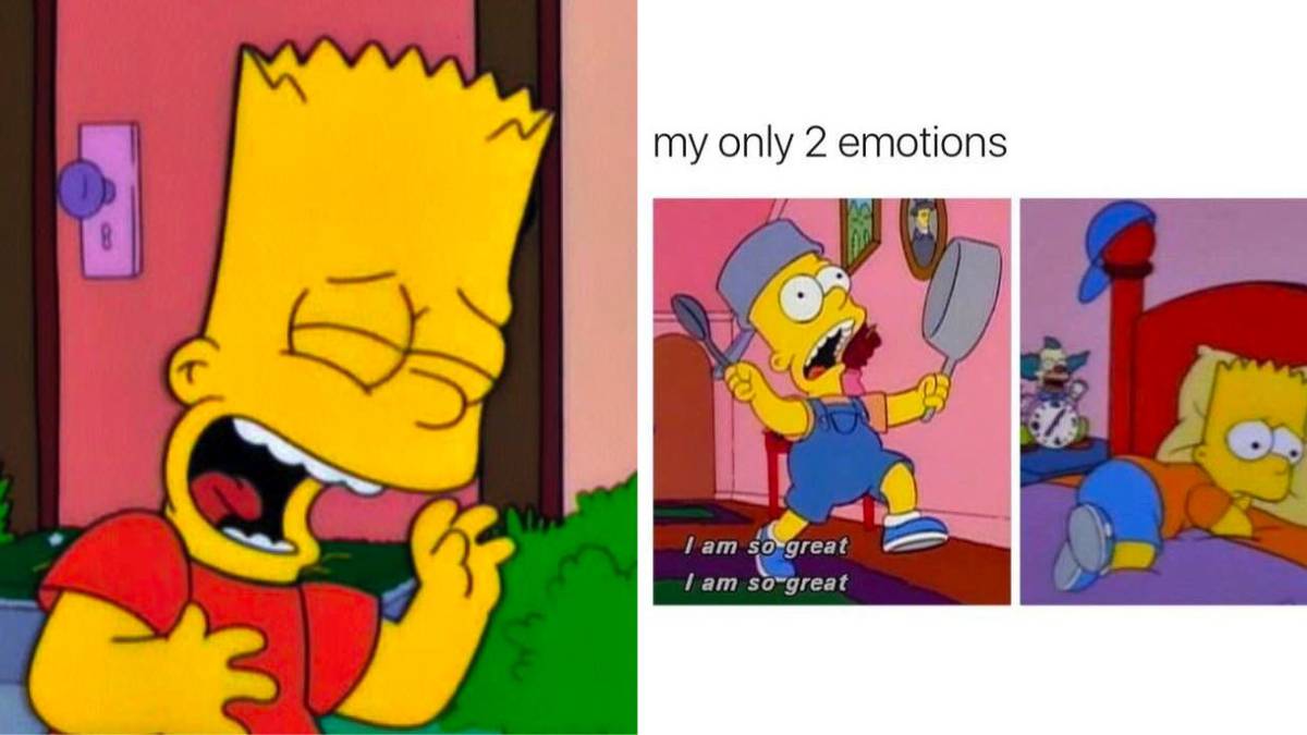 The Simpsons: 10 Memes That Perfectly Sum Up Bart As A Character