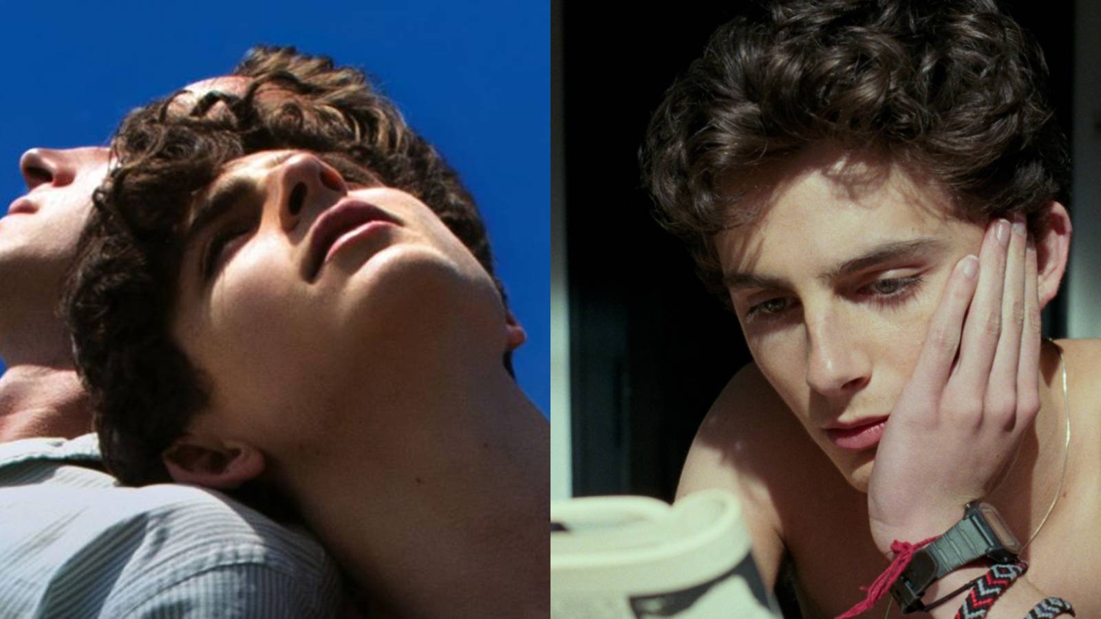 Call Me By Your Name: Elio's 10 Best Quotes