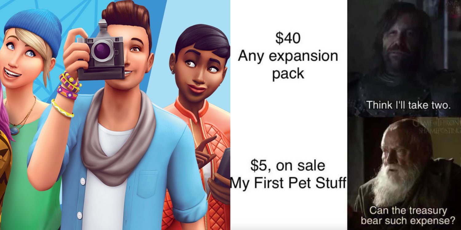 The Sims 4: 10 Memes That Sum Up The Sims