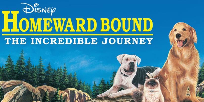 10 Best Disney Animal Movies Of All Time, According to Reddit