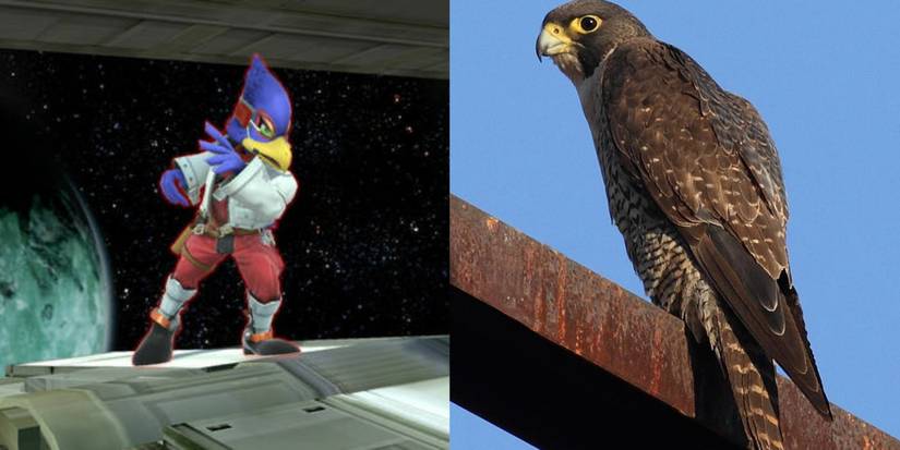 10 Iconic Video Game Characters, Ranked In Comparison To Their IRL ...