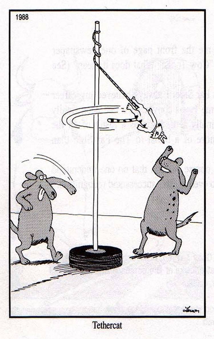 Far Side Creator Names the Comic He Thought Would End His Career