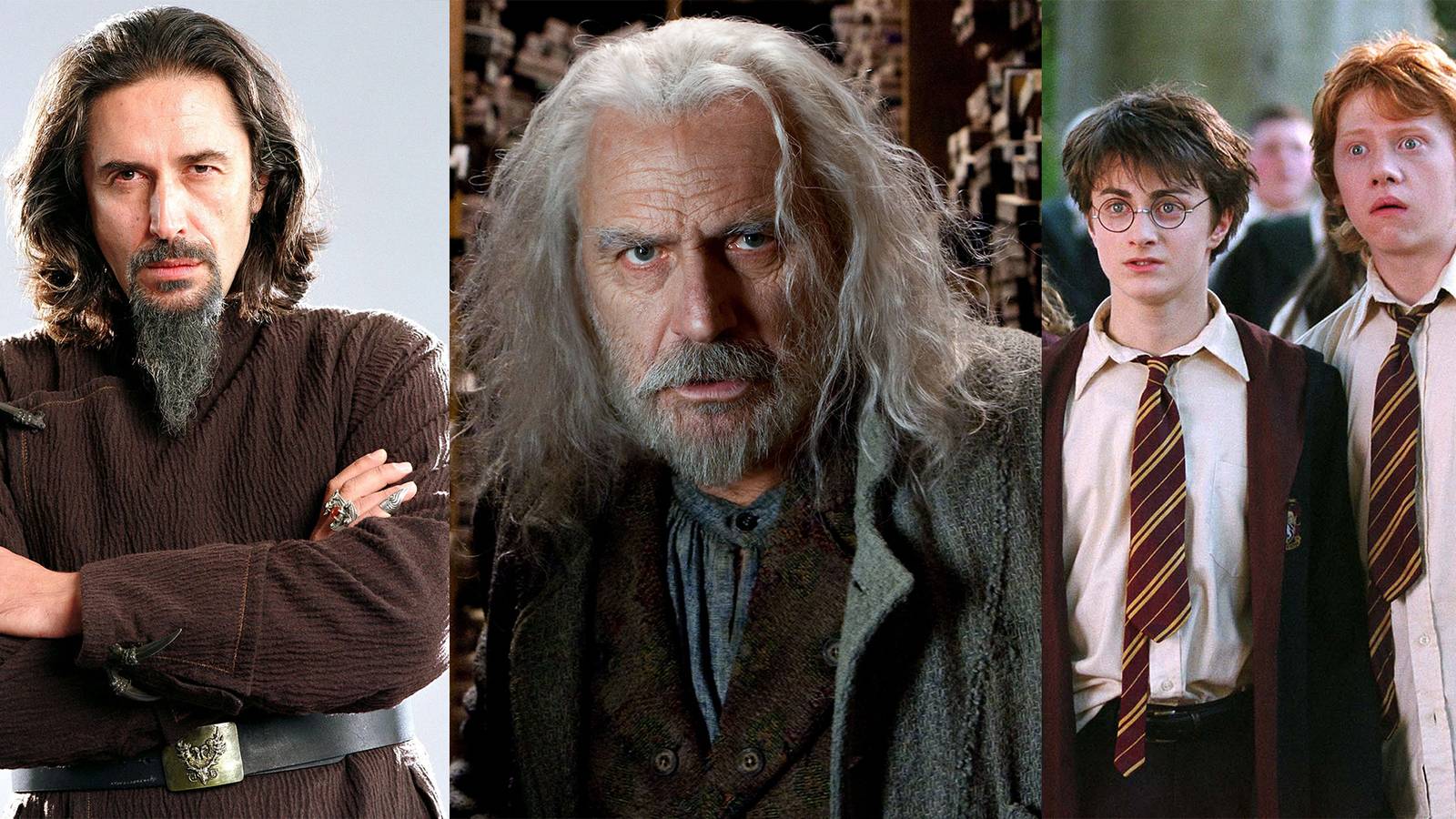Harry Potter: Side Character Deaths That Only True Fans Would Remember