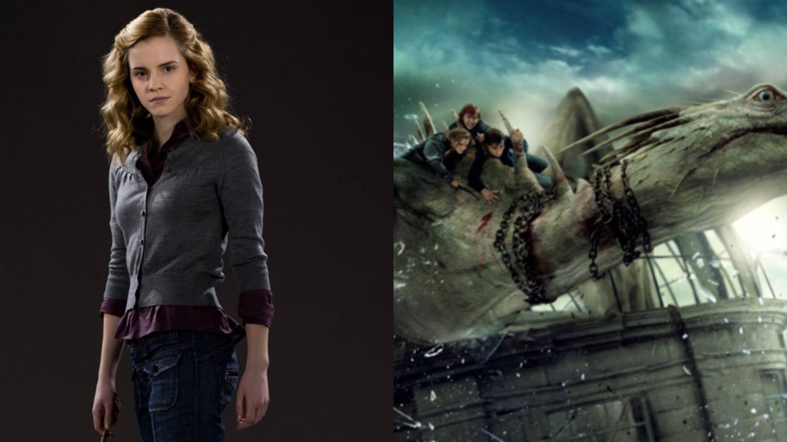 Harry Potter: 10 Times Hermione Should Have Died And Only Survived ...