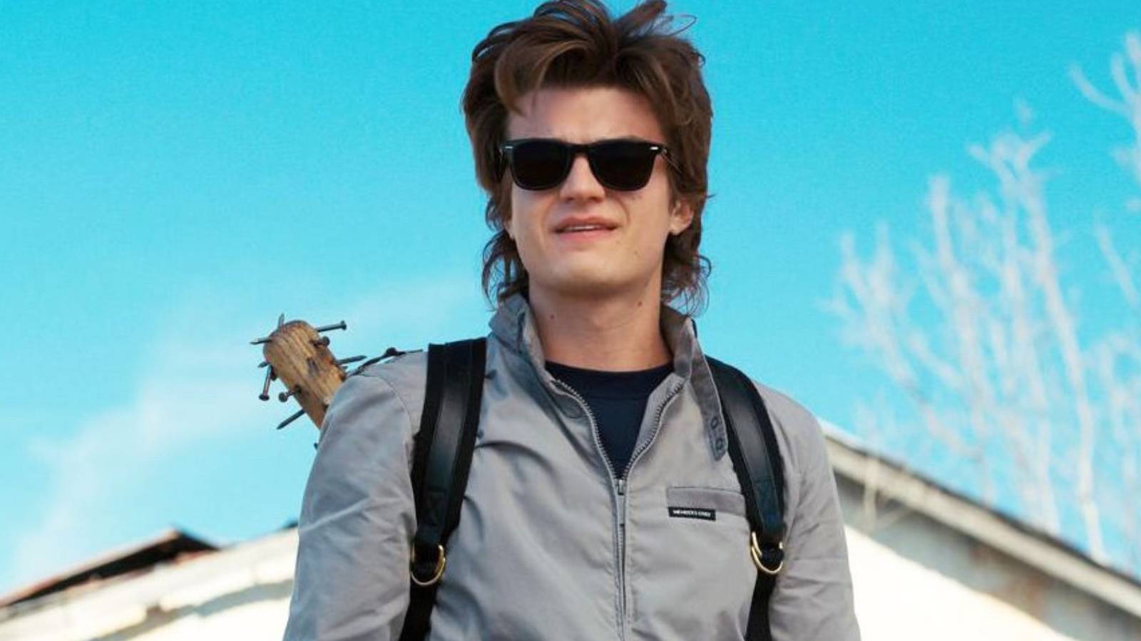 Stranger Things Season 4 Completely Ignored Steve's Perfect New Pairing ...