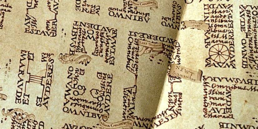 1 Harry Potter Theory Finally Explains Why Newt Was On The Marauder’s Map