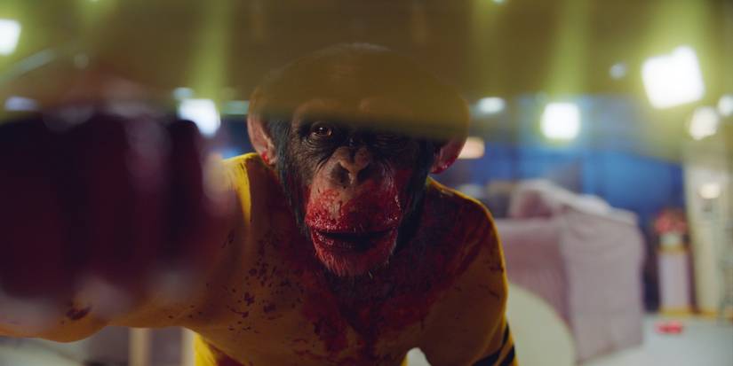 Nope Secretly Confirms That OJ Really Survived