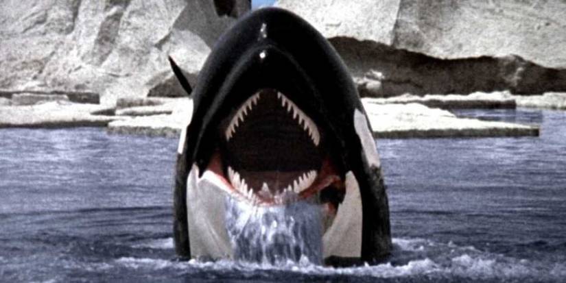 Pinocchio's Monstro & 9 Other Best Movie Whales, Ranked