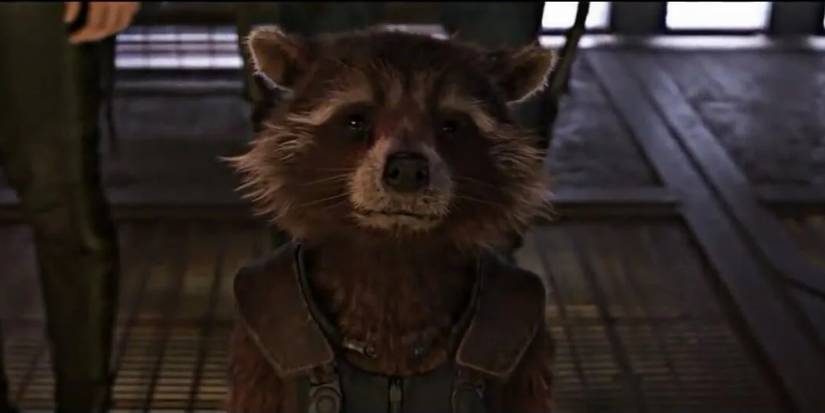 10 Quotes That Prove Rocket Raccoon Is The Saddest Guardian Of The Galaxy