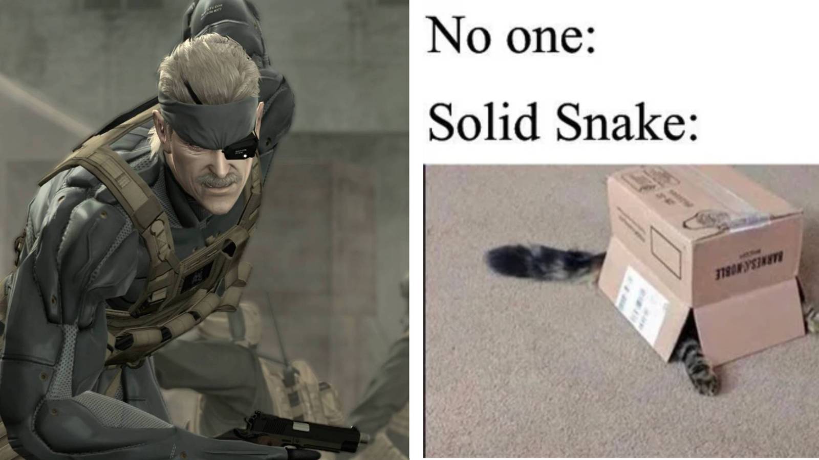 Metal Gear Solid: 10 Funniest Memes About Solid Snake