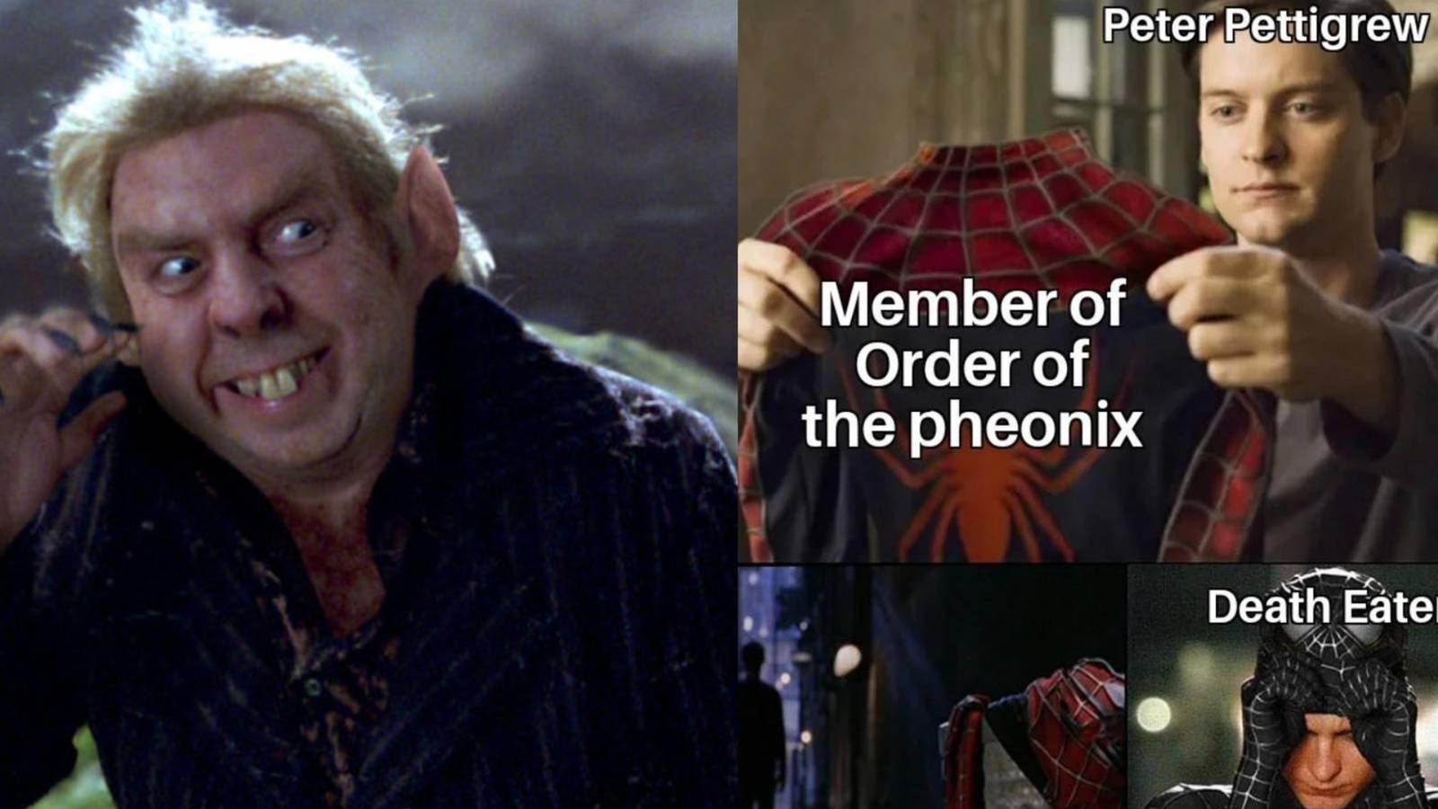 Harry Potter: 10 Memes That Perfectly Sum Up Wormtail As A Character