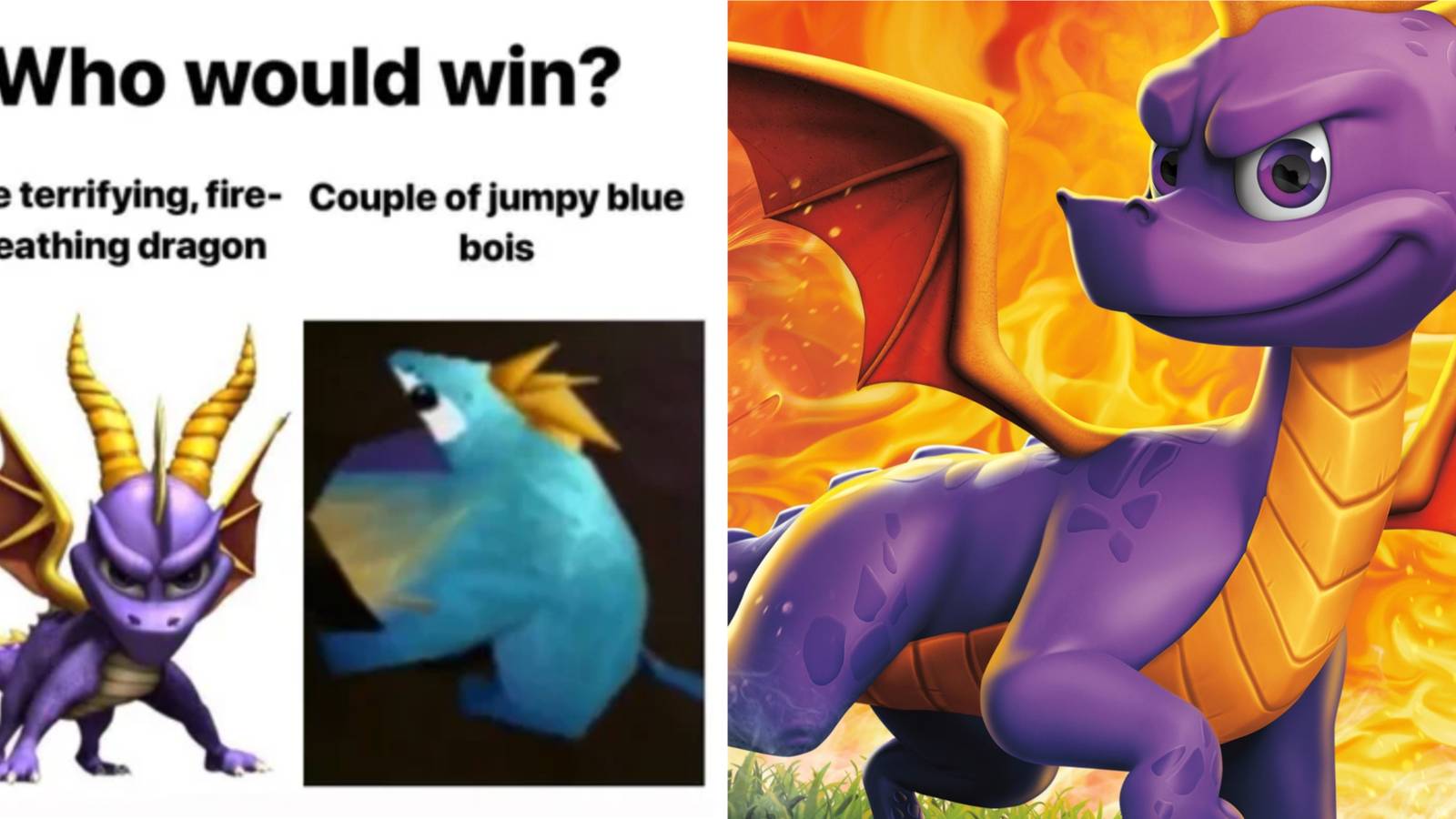 Spyro the Dragon: 10 Memes That Perfectly Sum Up The Games