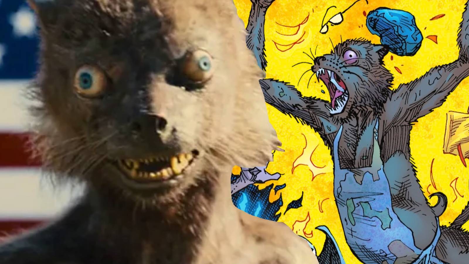 Suicide Squad Reveals Where Weasel Ended Up (& It's Horrifying)