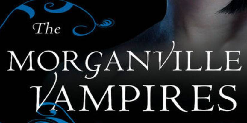 Vampire Academy: 10 Similar YA Fantasy Novels That Would Make A Great ...