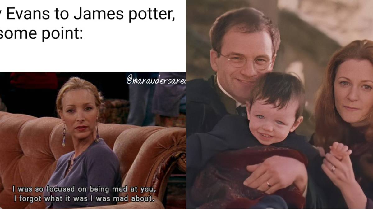 10 Memes That Perfectly Sum Up The Potter Family