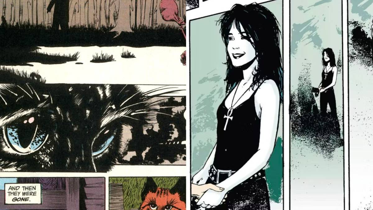 Sandman: 10 Most Heartbreaking Deaths In The Comics, Ranked